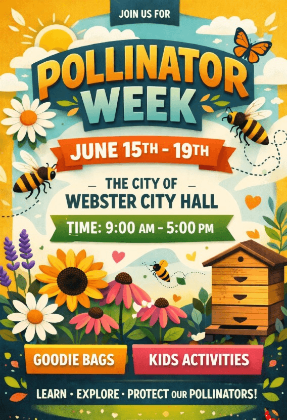 Pollinator Week - City of Webster